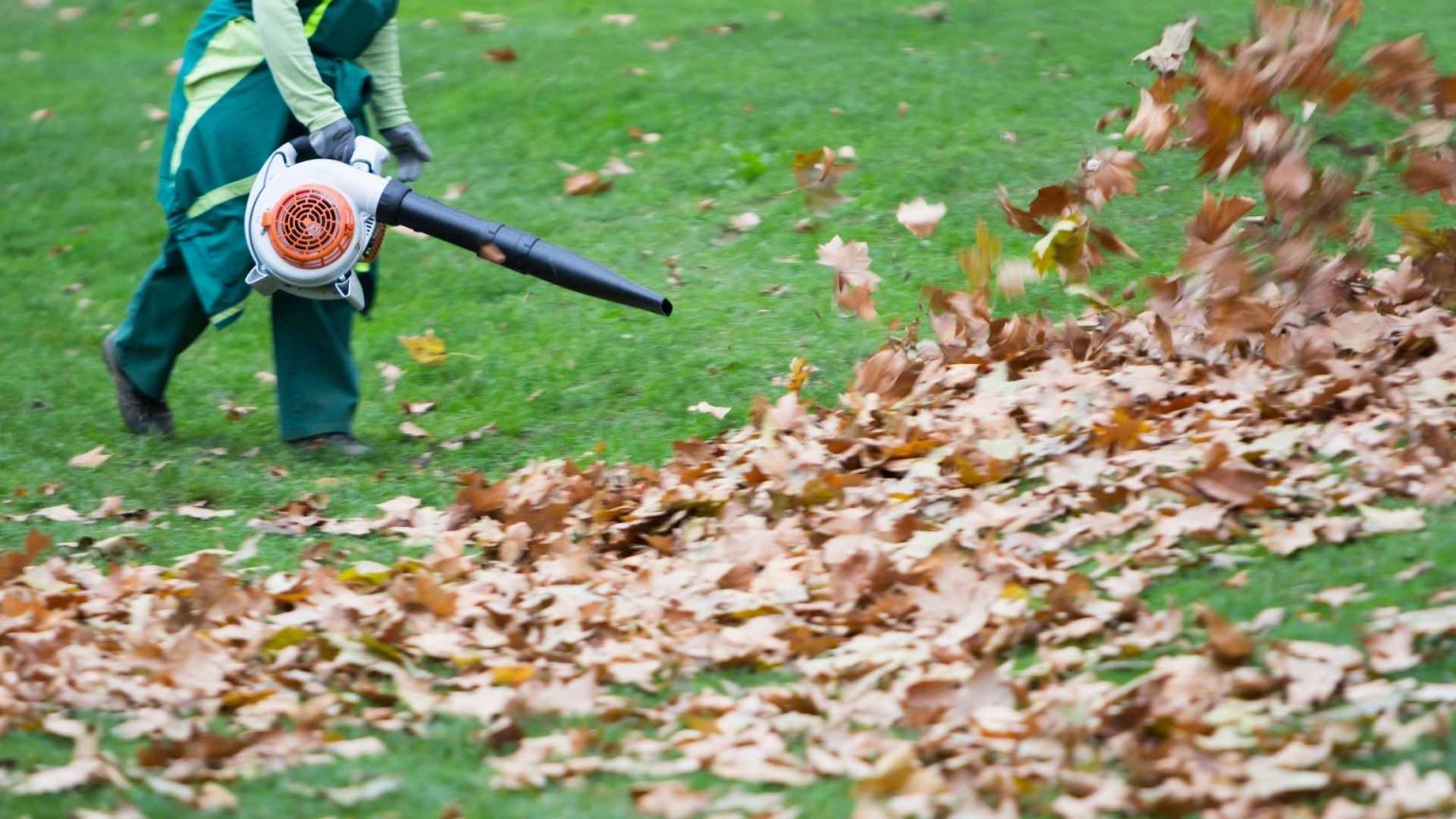 Top 5 Fall Landscaping Projects to Prepare Your Yard for Winter ...